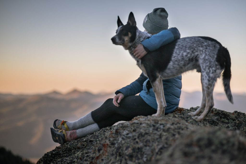 Training mit Hund