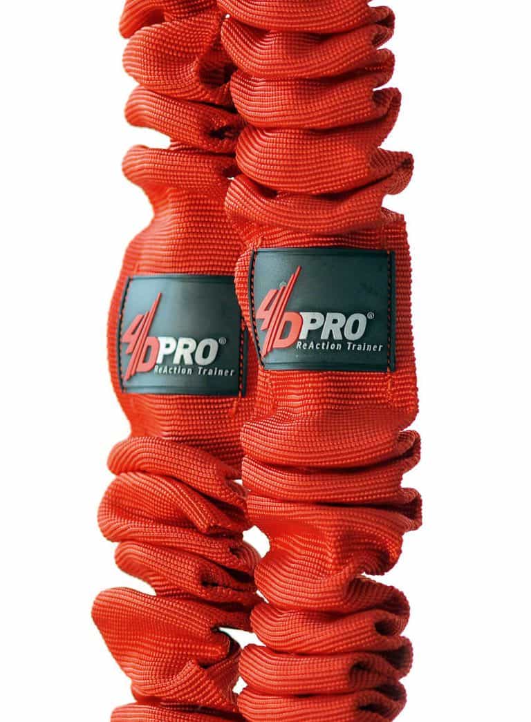 Bungee Workout - 4D Pro Fitness erobert Berlin, Hamburg, München und ...