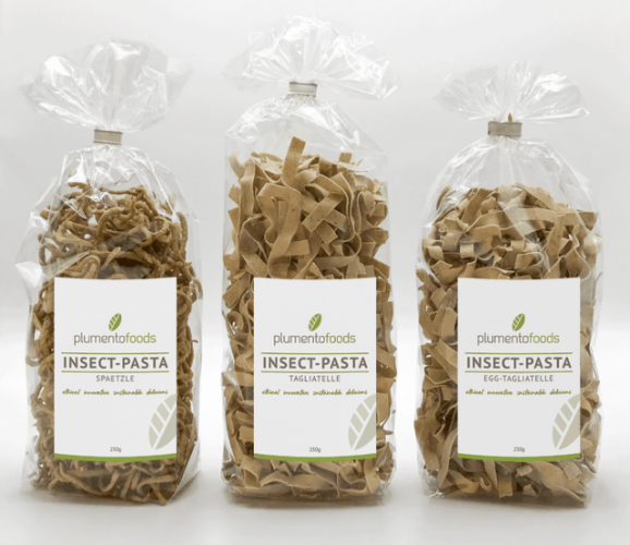 Insect-Pasta aus Insektenprotein im Test. Wie schmeckt die Nahrung aus ...