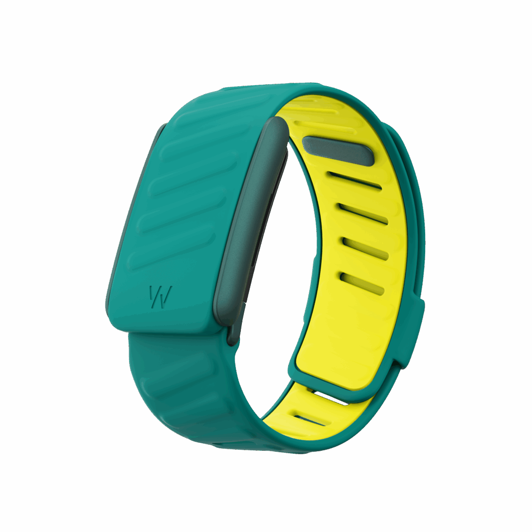 WHOOP Band 5.0 im Test. Für wen sich jetzt der Wechsel auf das neue ...